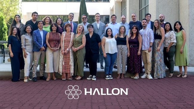 Hallon, pionera de la inteligencia de medios en España, prepara su 25º ...