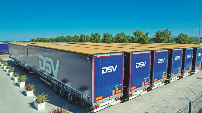 DSV ficha a Roman